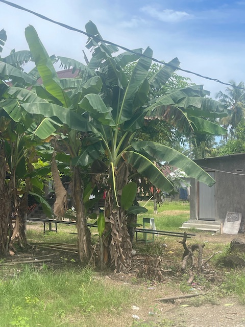 Pare Pare, Sulawesi, Indonesia – You Are On The Other Side